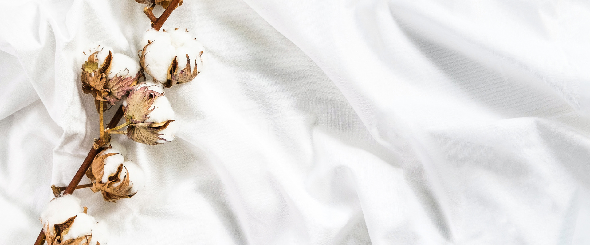 Algodón, Lino y Poliéster: Comparación de Tres Tejidos Comunes en el ...